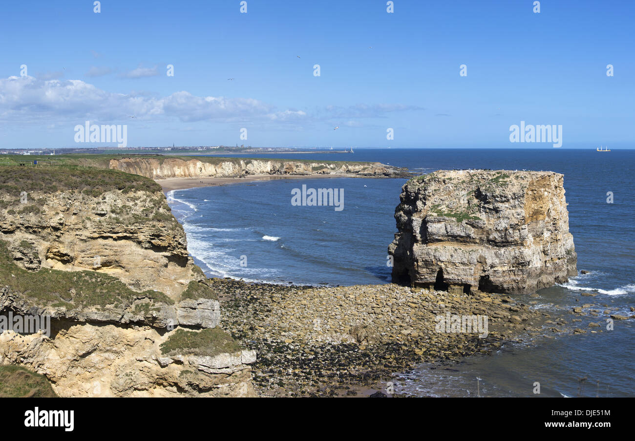 Marsden rock tyne wear england hi-res stock photography and images - Alamy