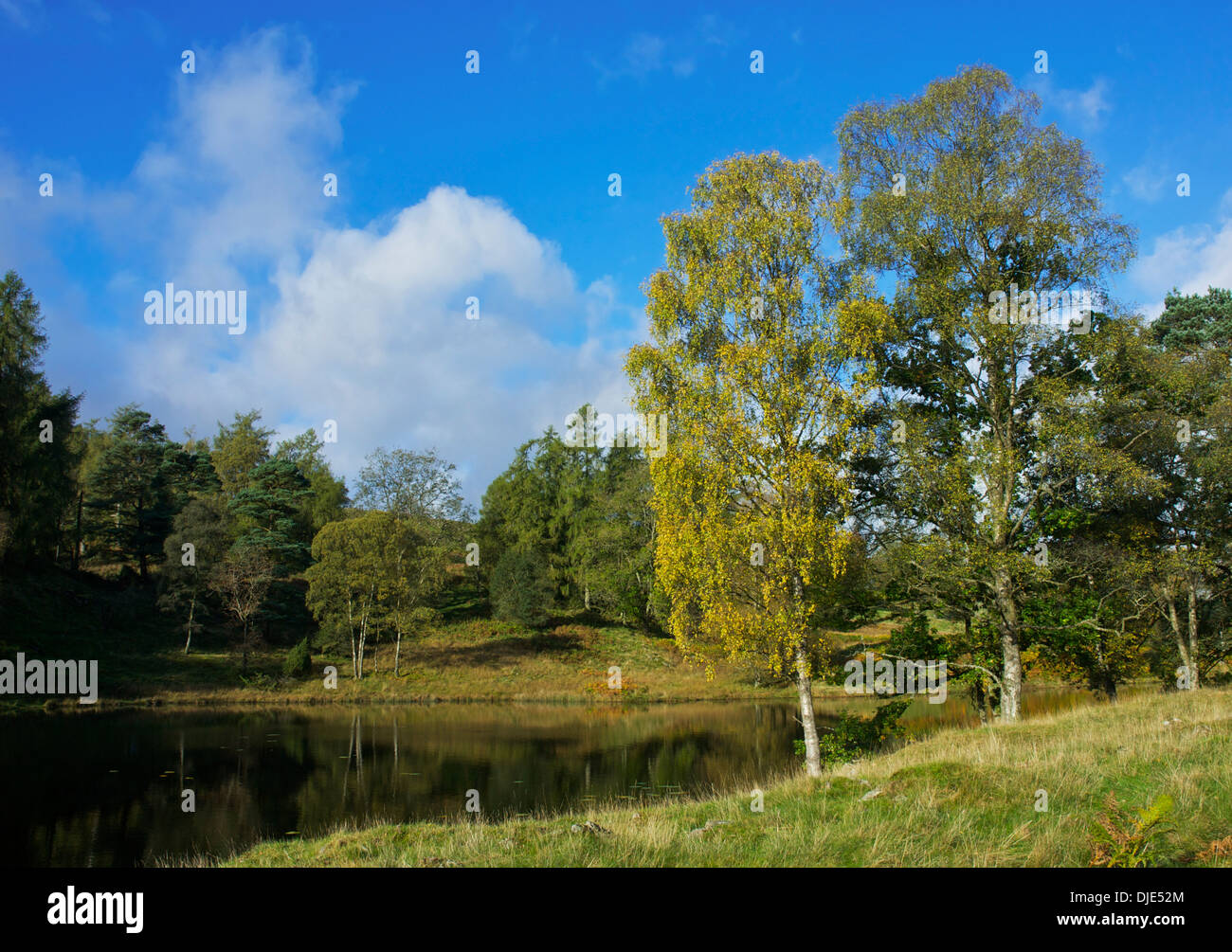 Ghyll Head Reservoir, South Lakeland, Lake District National Park ...