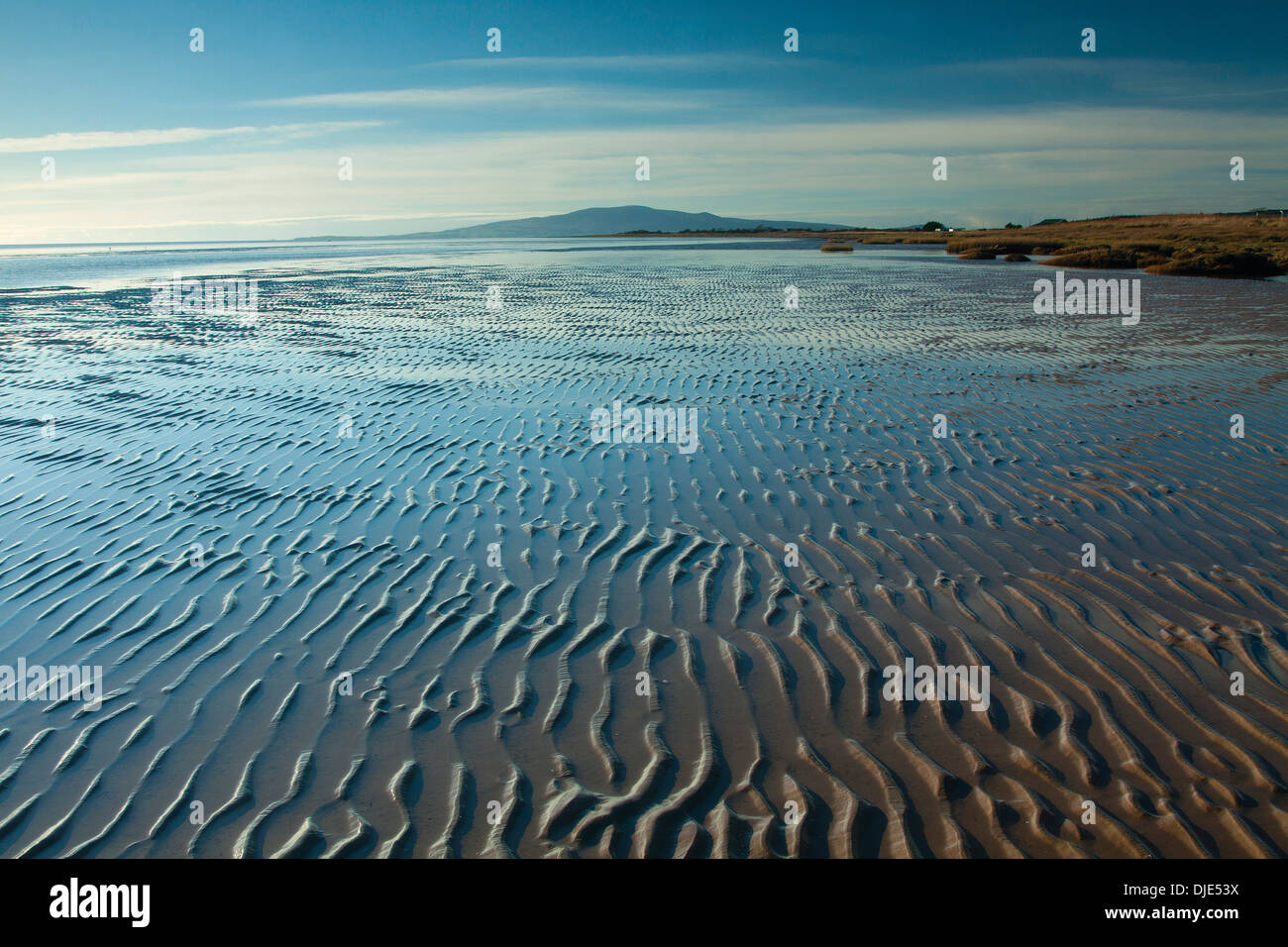 Criffel hi-res stock photography and images - Alamy