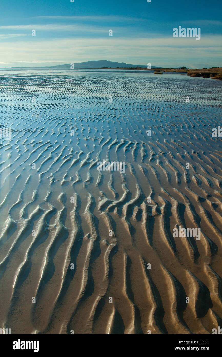 Criffel hi-res stock photography and images - Alamy