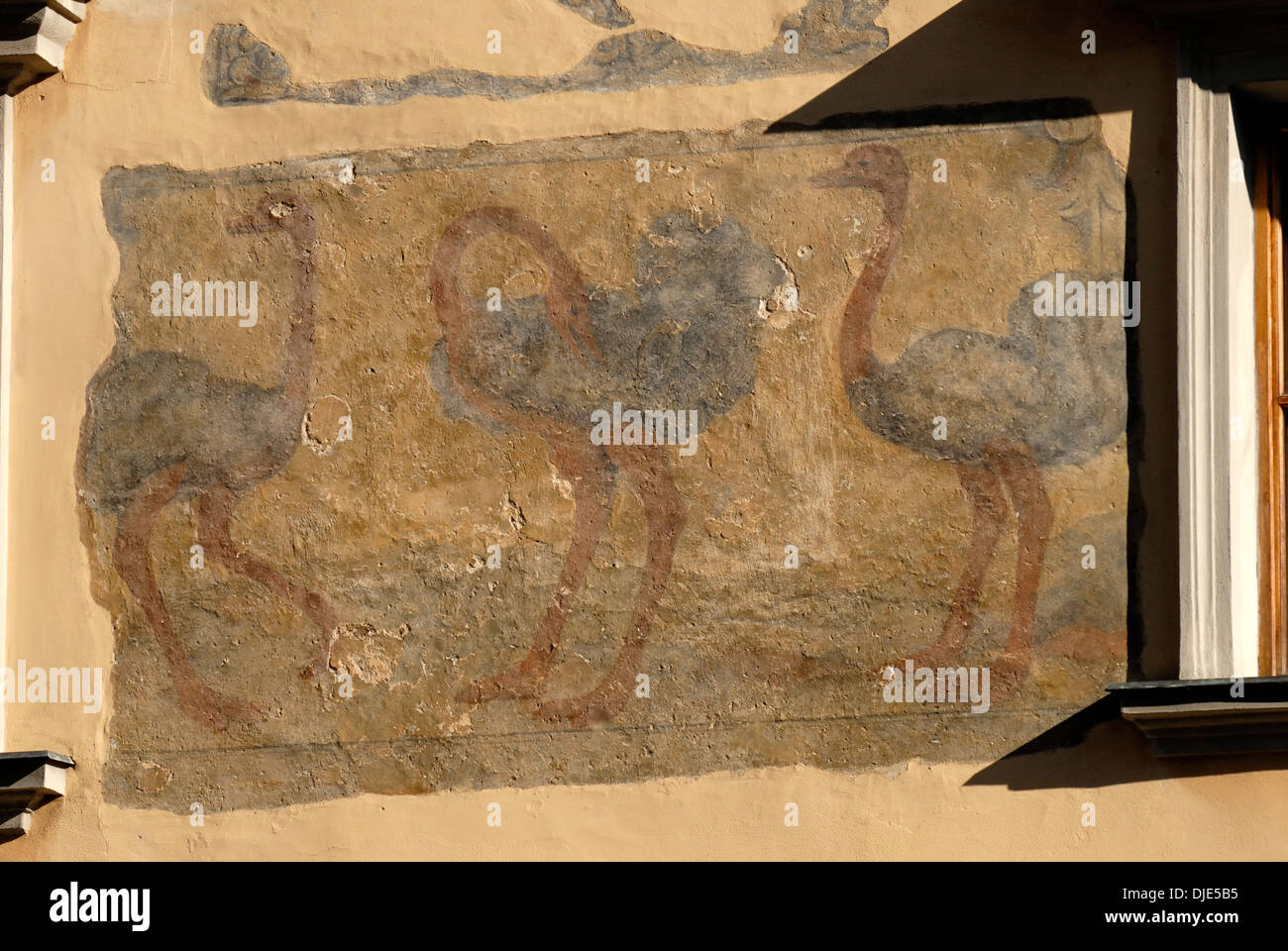 U tri pstrosu hi-res stock photography and images - Alamy
