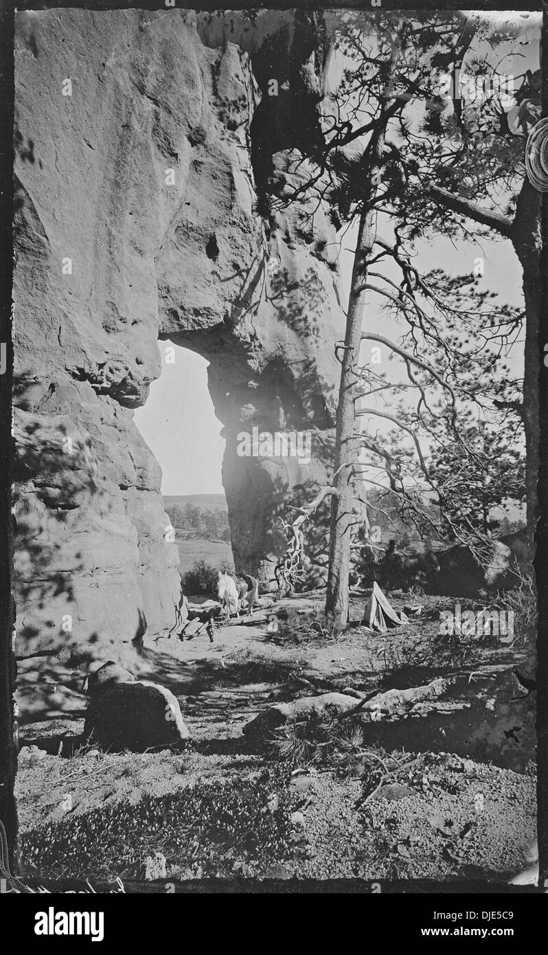 Palmer arch hi-res stock photography and images - Alamy