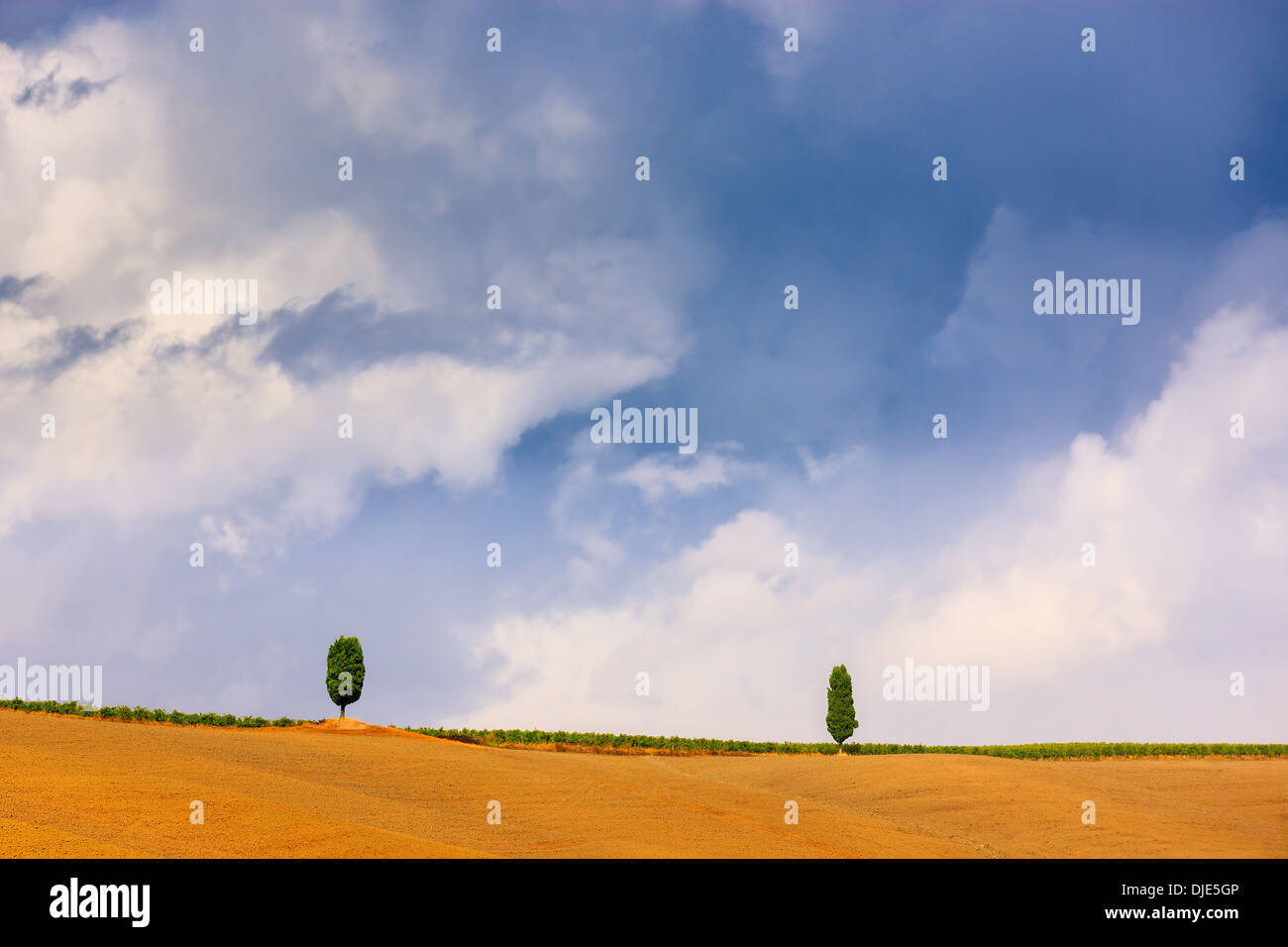 The Crete Senesi refers to an area of the Italian region of Tuscany to ...