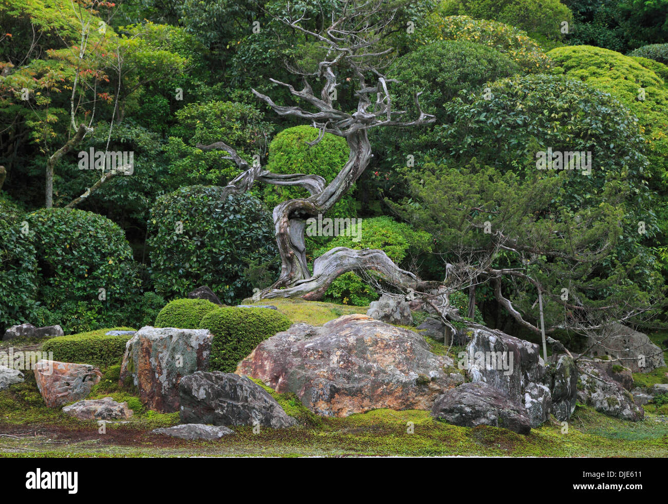 Japan of konchi in temple hi-res stock photography and images - Alamy