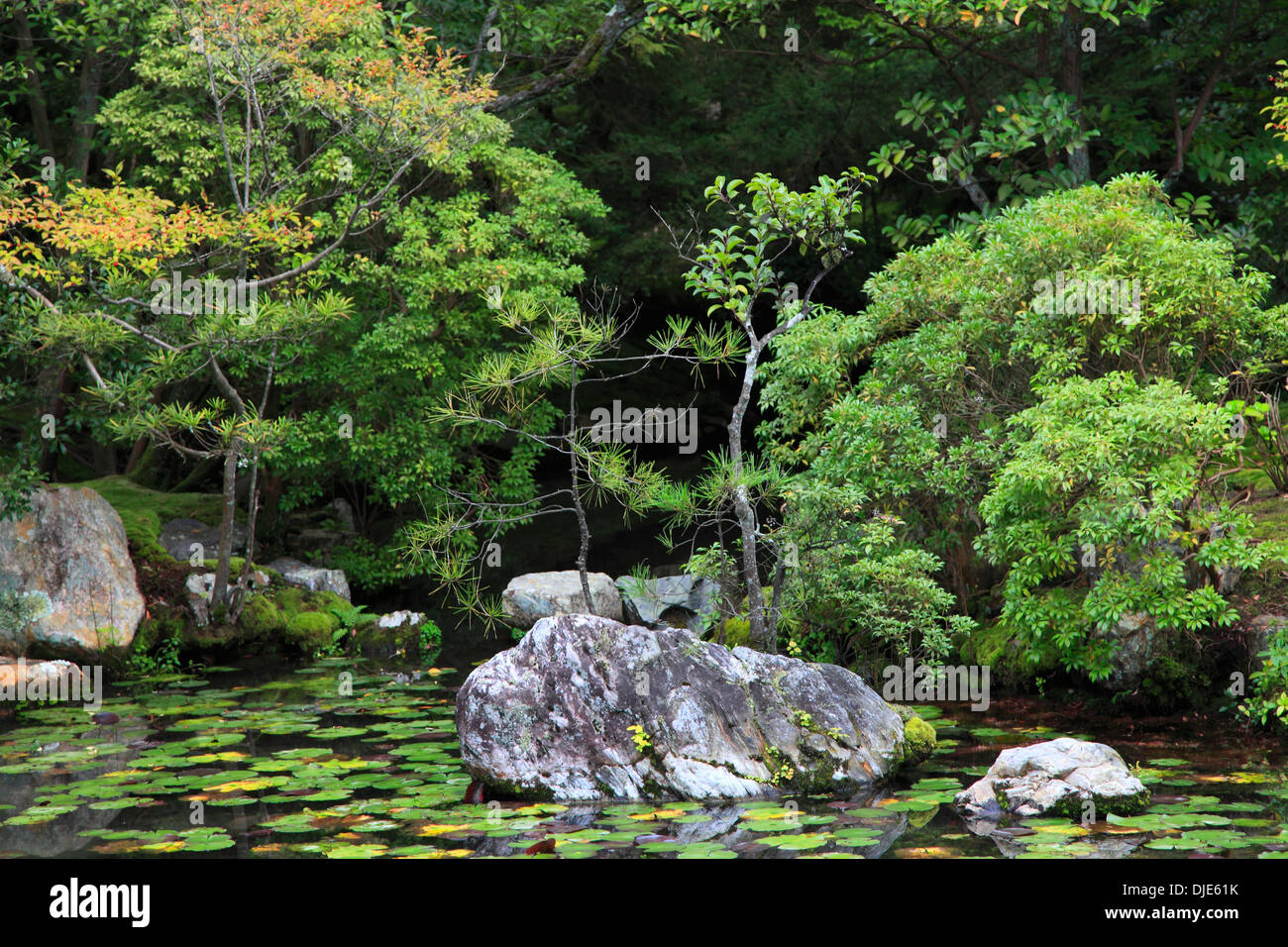Konchi in temple hi-res stock photography and images - Alamy