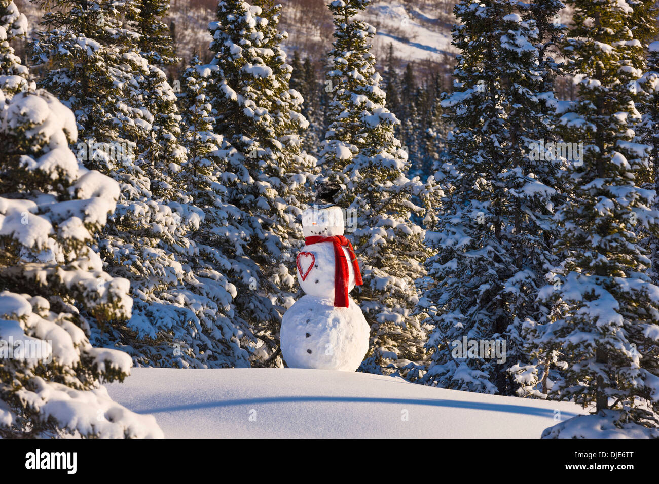 Snowman Wearing A Red Scarf And Black Top Hat Standing In Front Of A ...