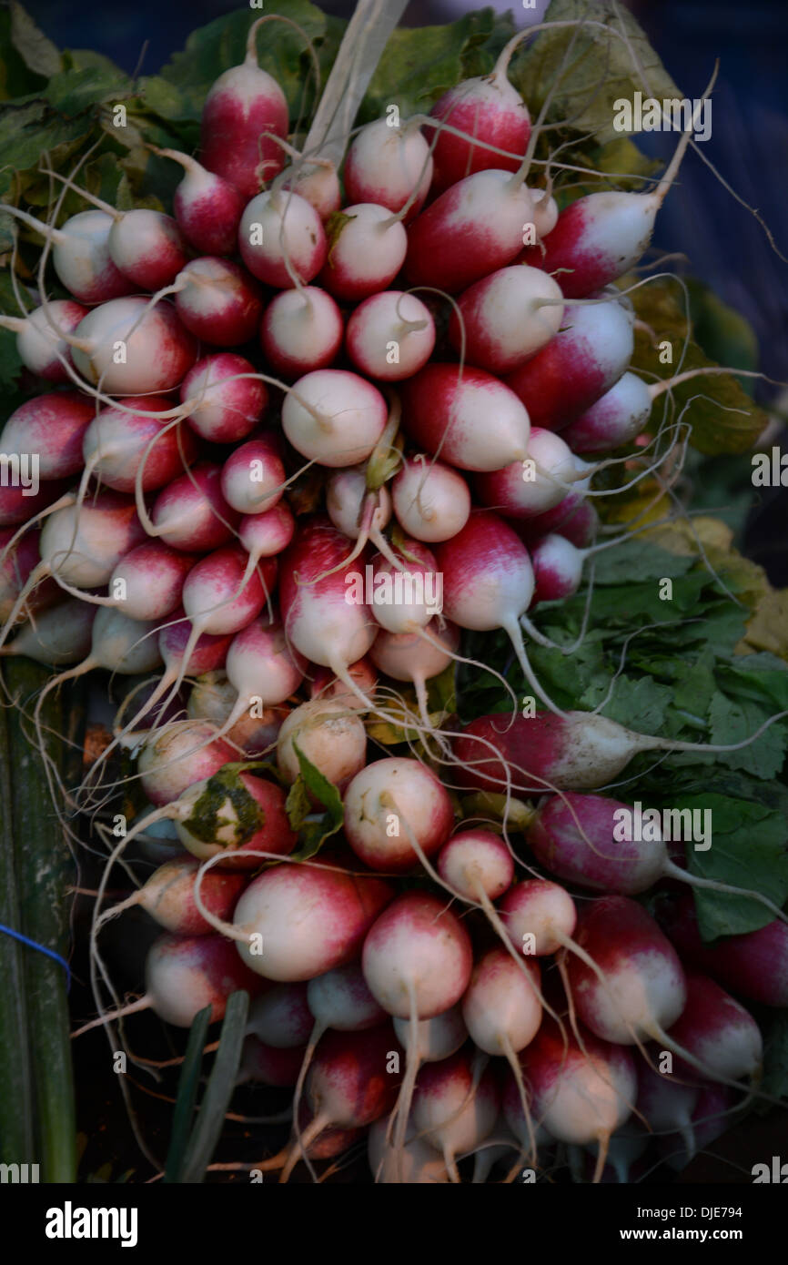 Raddish hi-res stock photography and images - Alamy