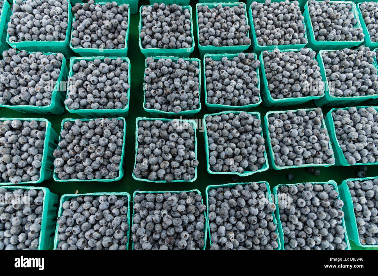 Blueberries fresh ripe on display at the farmers market Stock Photo - Alamy