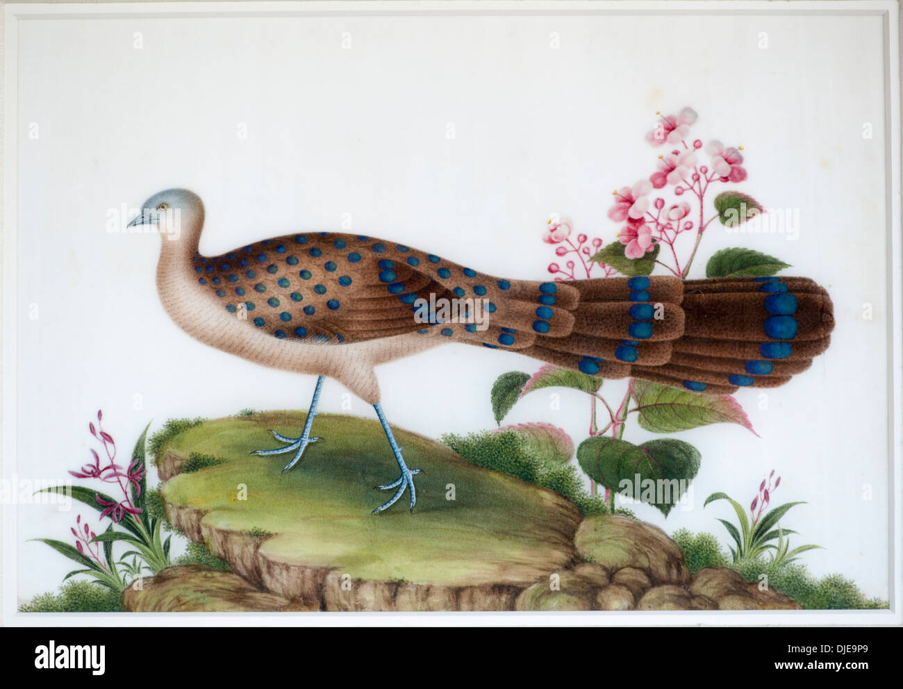 Chinese Pith Painting 19th Century Stock Photo - Alamy