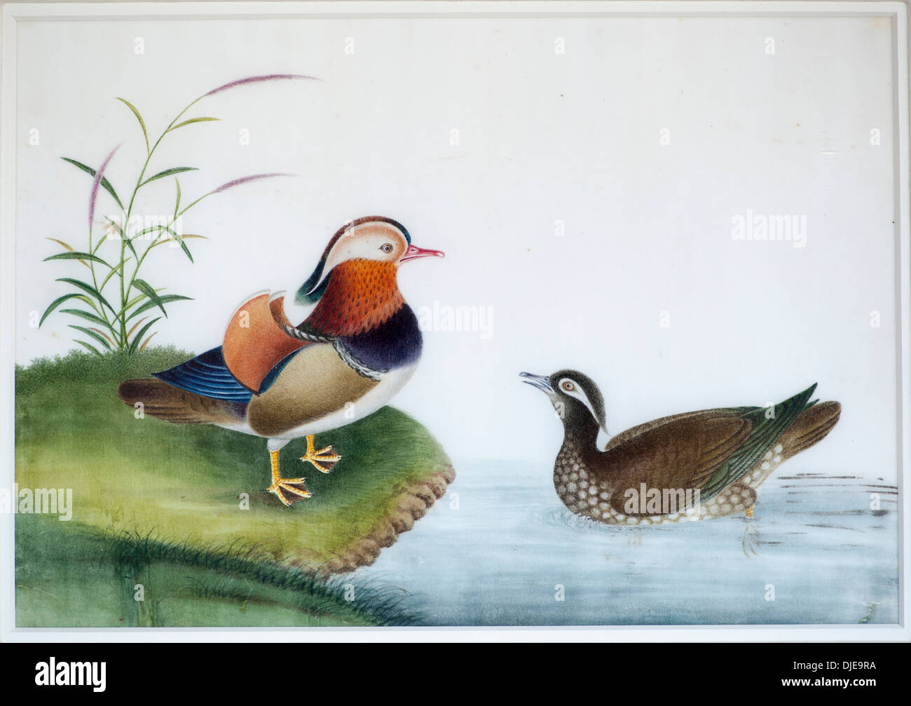 Chinese Pith Painting 19th Century Stock Photo - Alamy