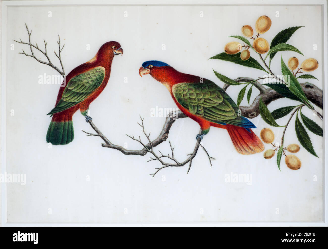 Chinese Pith Painting 19th Century Stock Photo - Alamy