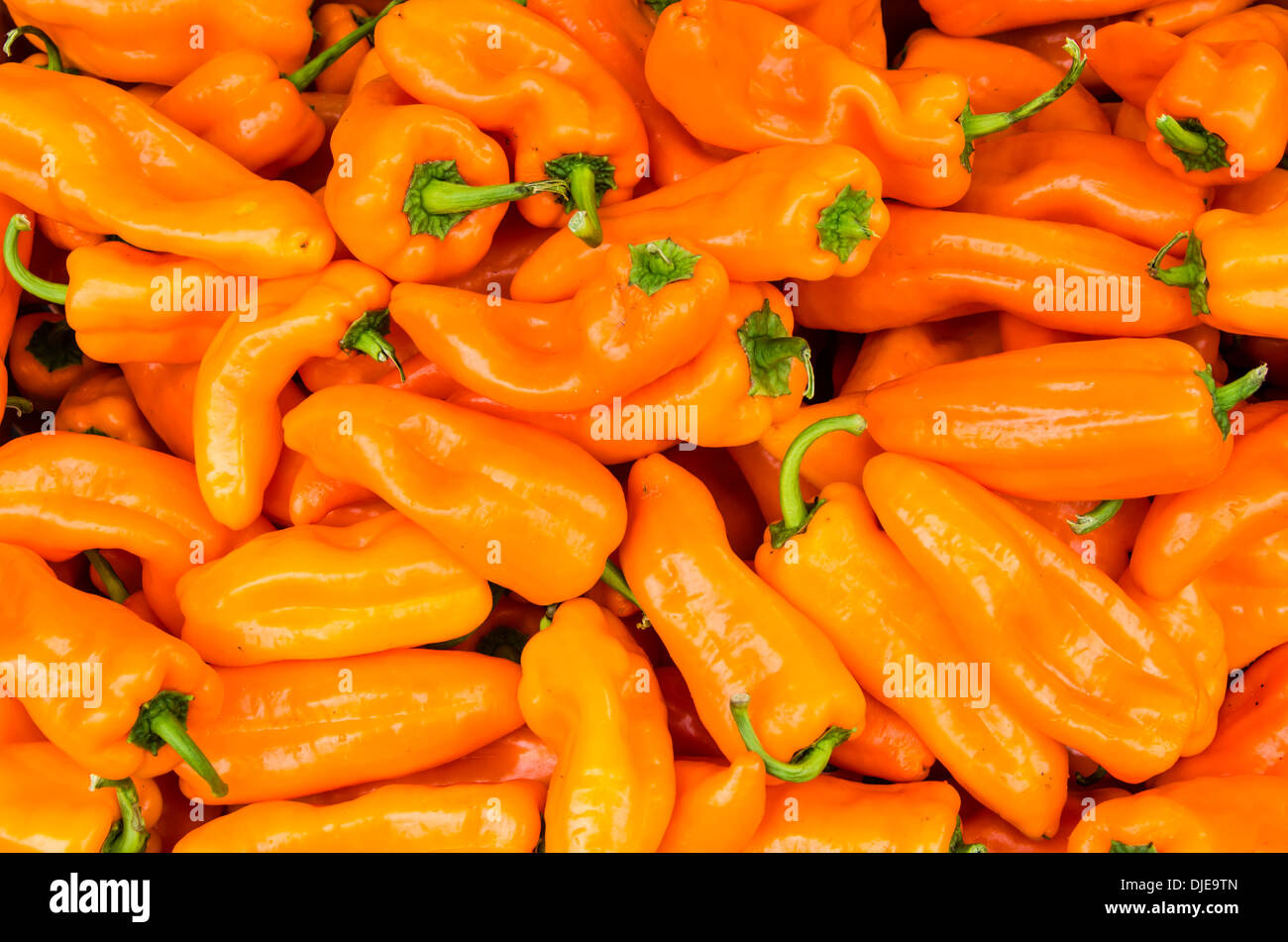 Orange hot peppers on display at the farmers market Stock Photo - Alamy