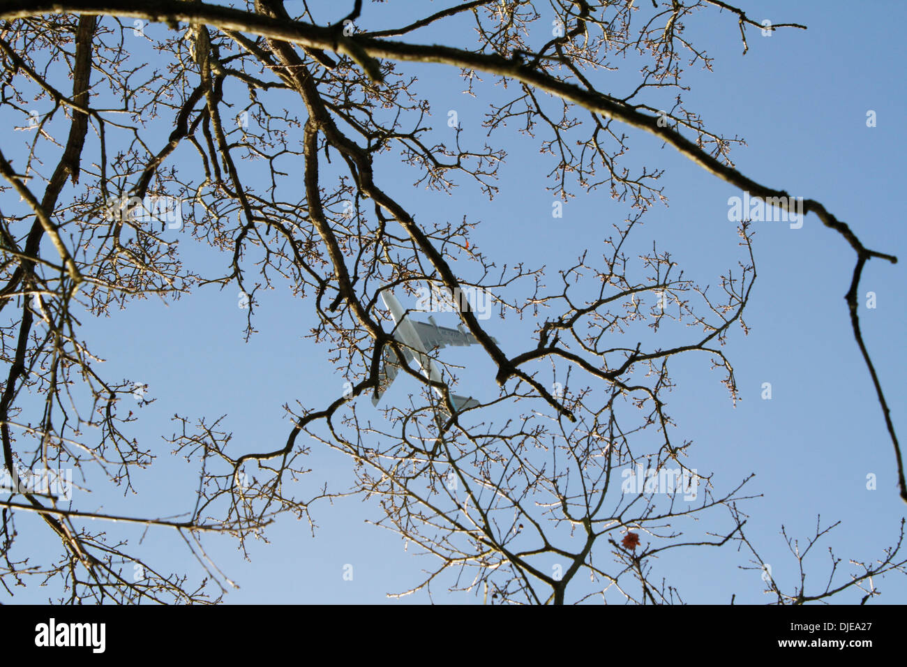 Airplane flying through branches Stock Photo - Alamy