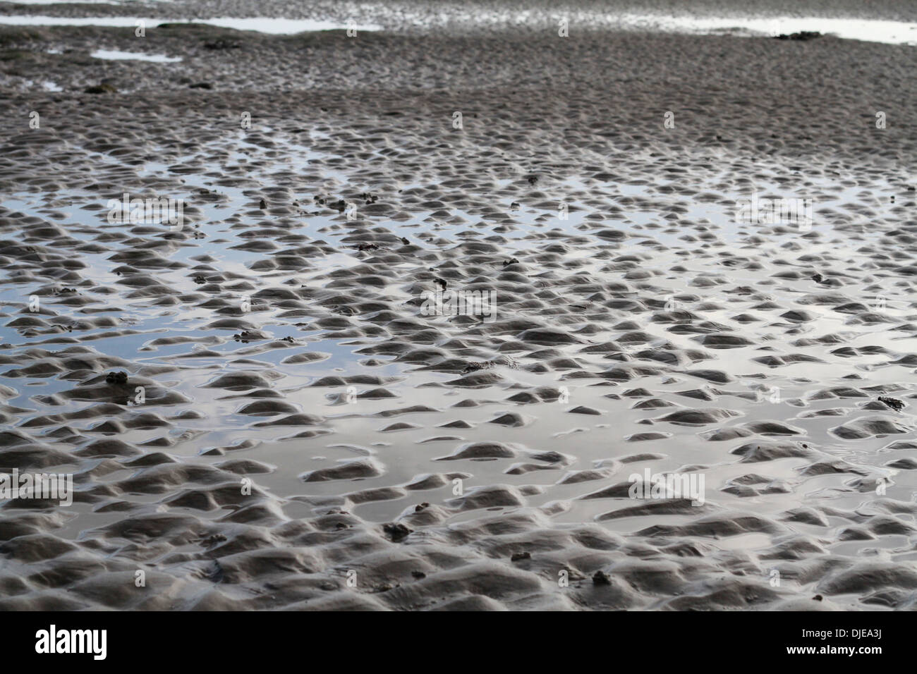 Wet sand and beach hi-res stock photography and images - Alamy