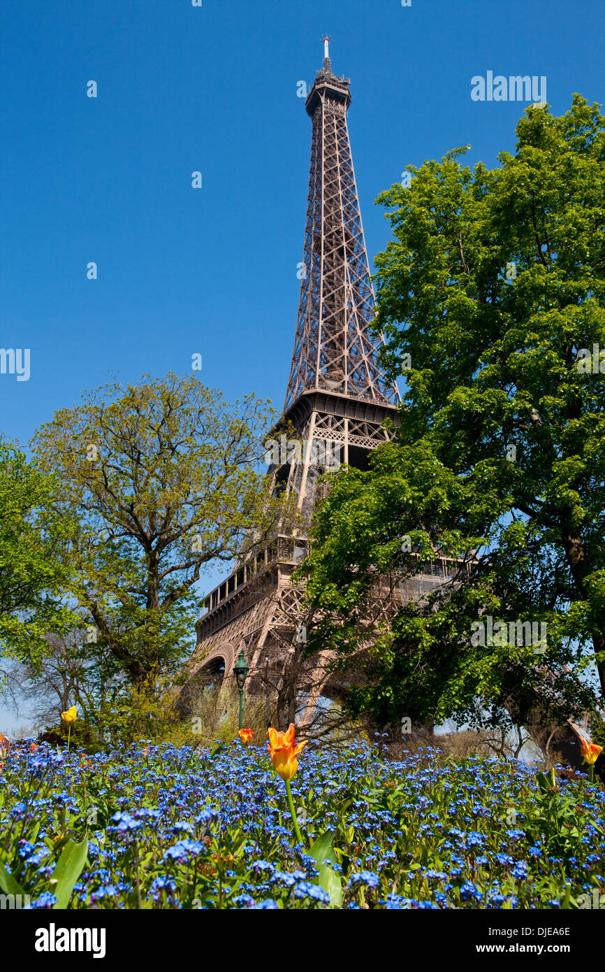 Eiffel Tower from a garden in spring Stock Photo - Alamy
