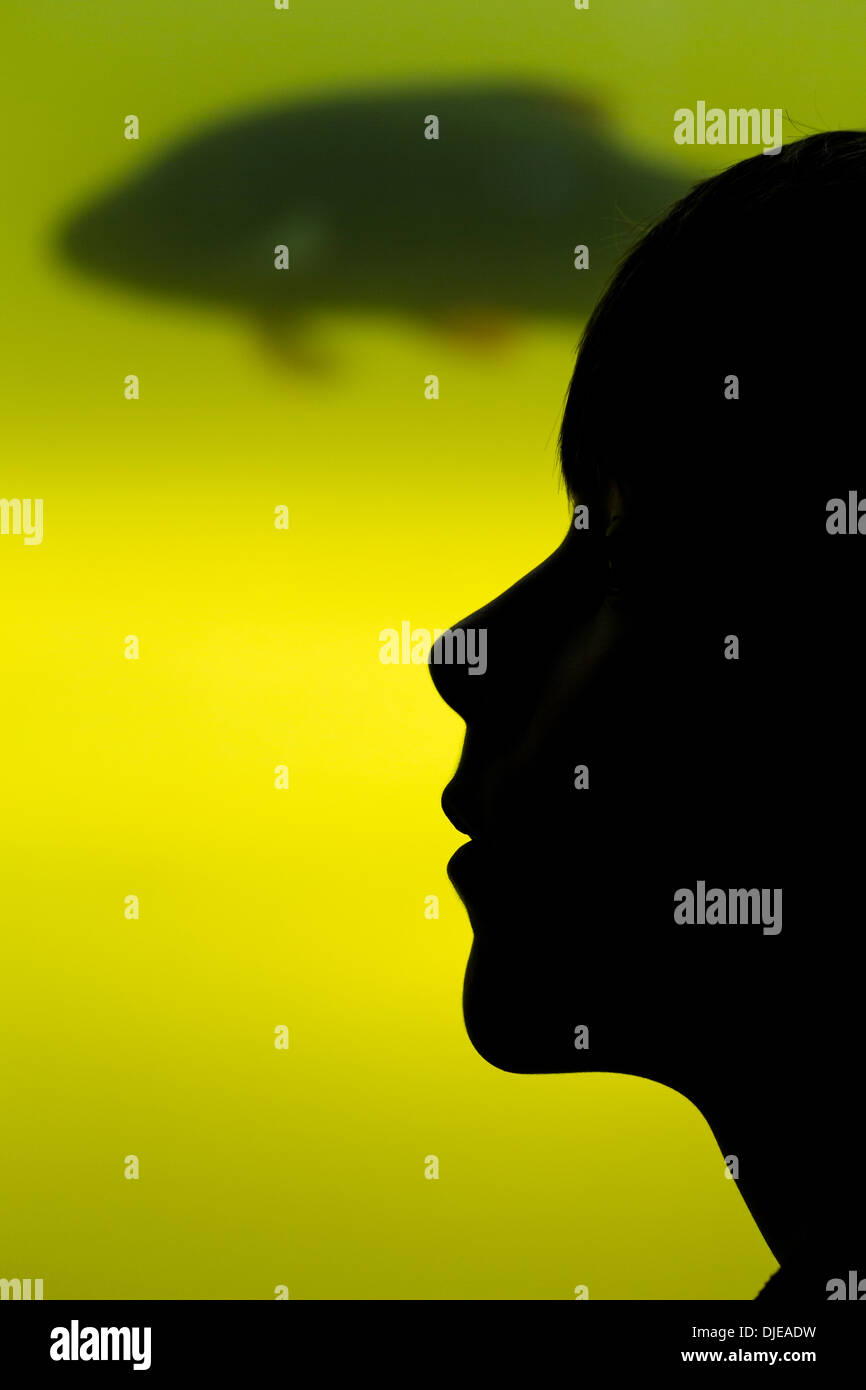 contour of a young boy with green background and a fish behind Stock ...