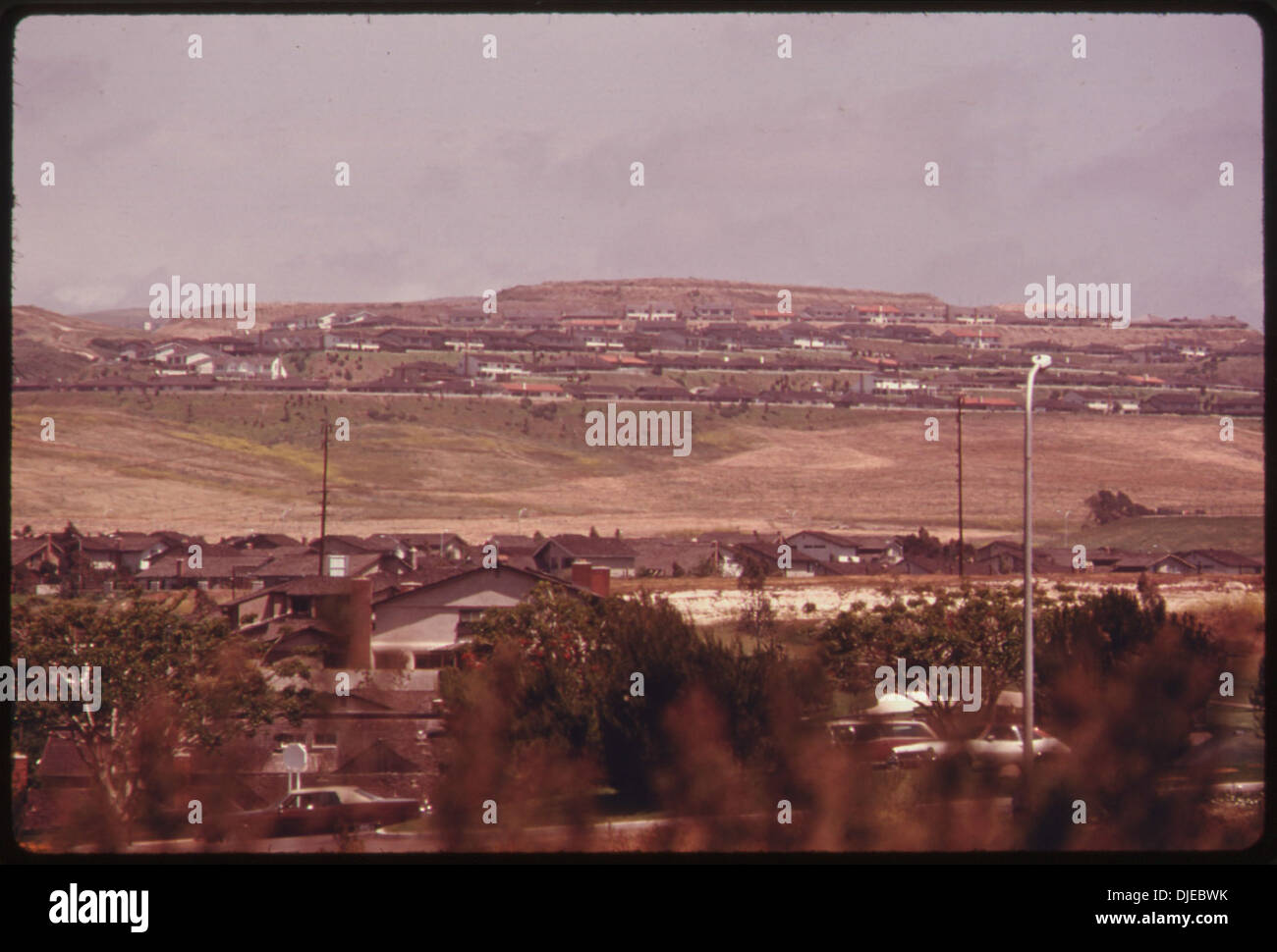 Intensive residential development around a coastal harbor, reflecting ...