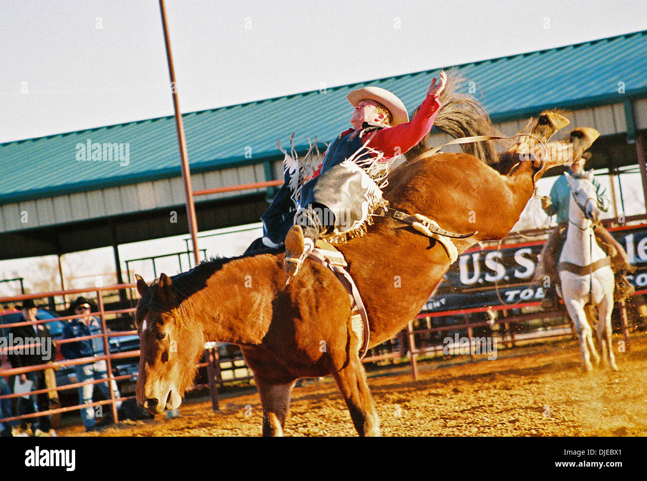 Aug 05, 2004; Austin, TX, USA; Rodeo bareback riding is one of the most ...
