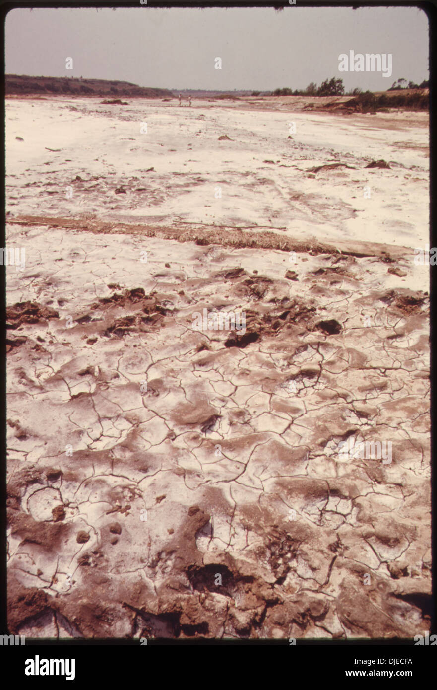 The Upper Newport Bay in Orange County features a salty tide flat area ...