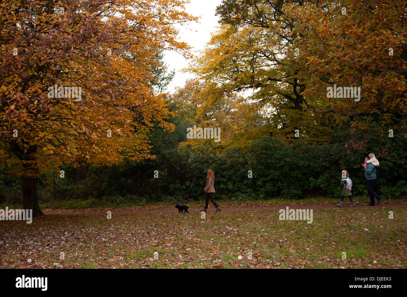 People Walking on Richmond Park Path - London UK Stock Photo - Alamy