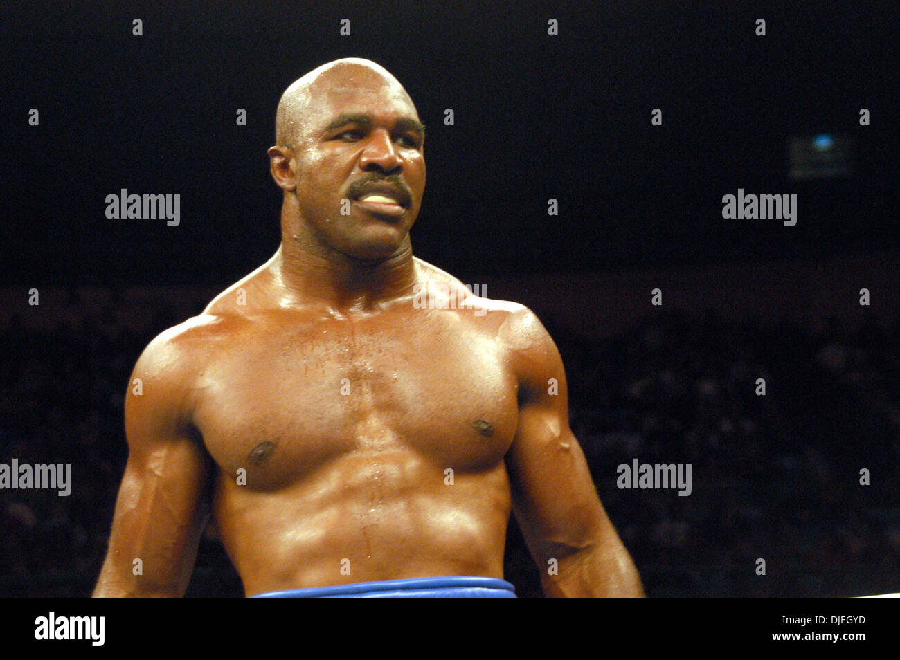 Nov 13, 2004; New York, NY, USA; Boxing champ EVANDER HOLYFIELD vs ...