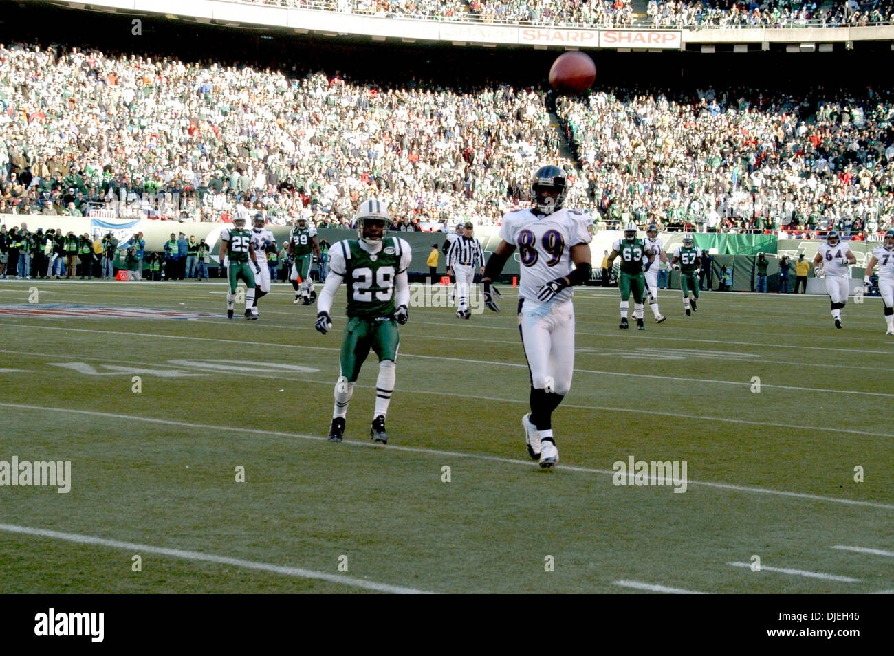 Baltimore ravens 2004 hi-res stock photography and images - Alamy