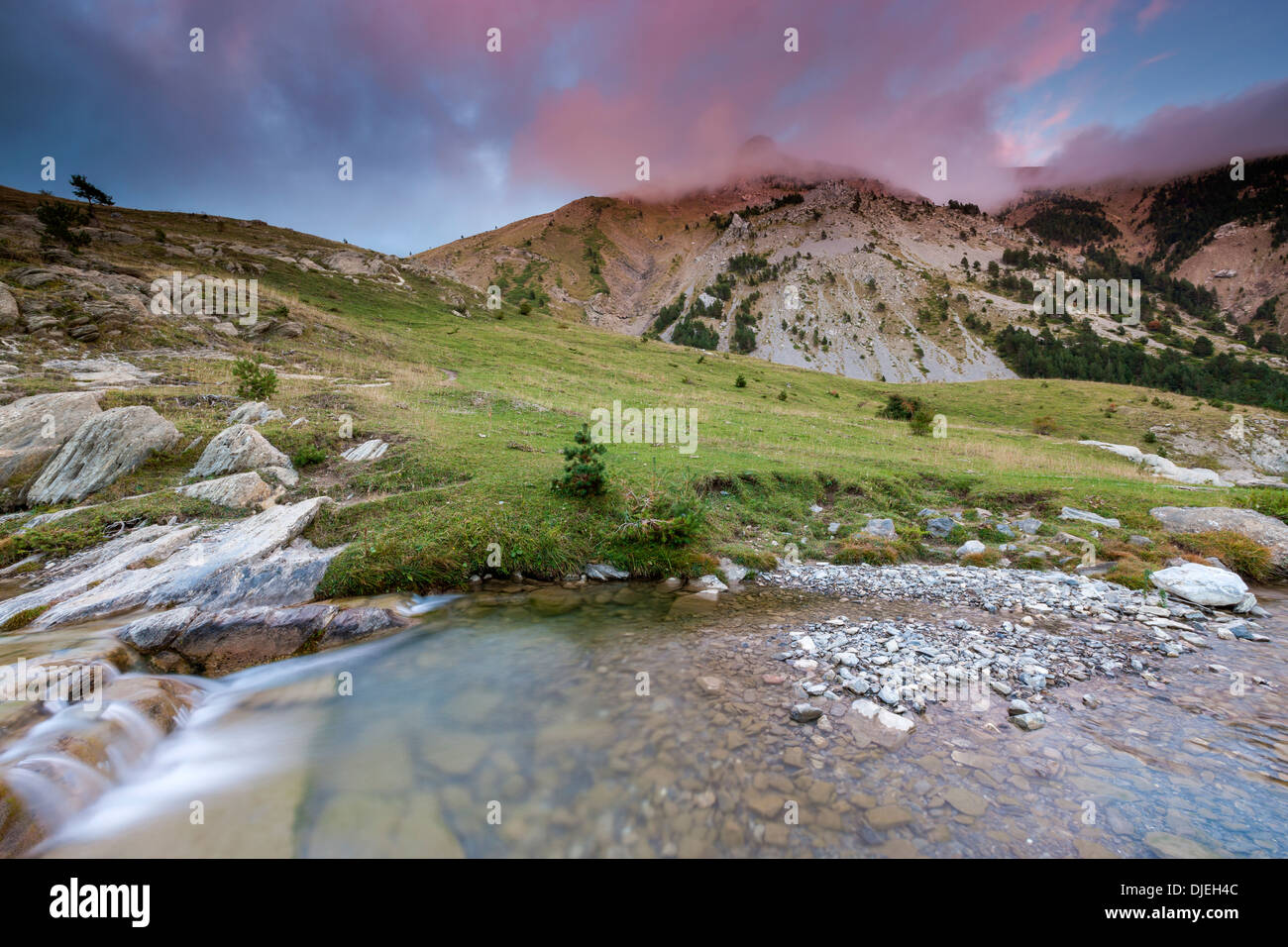 Aisa hi-res stock photography and images - Alamy