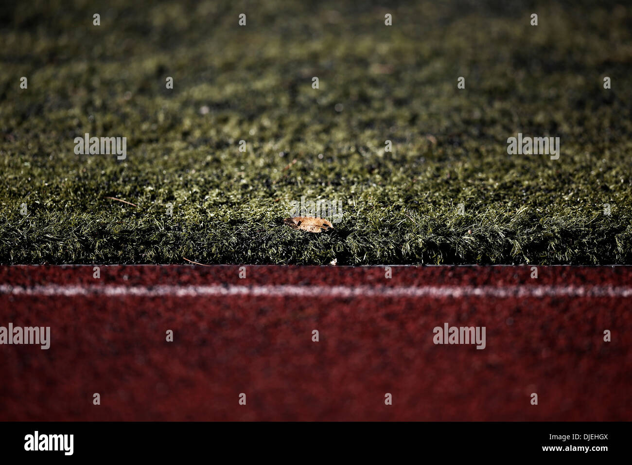 Stadium tartan track leaf grass Stock Photo - Alamy