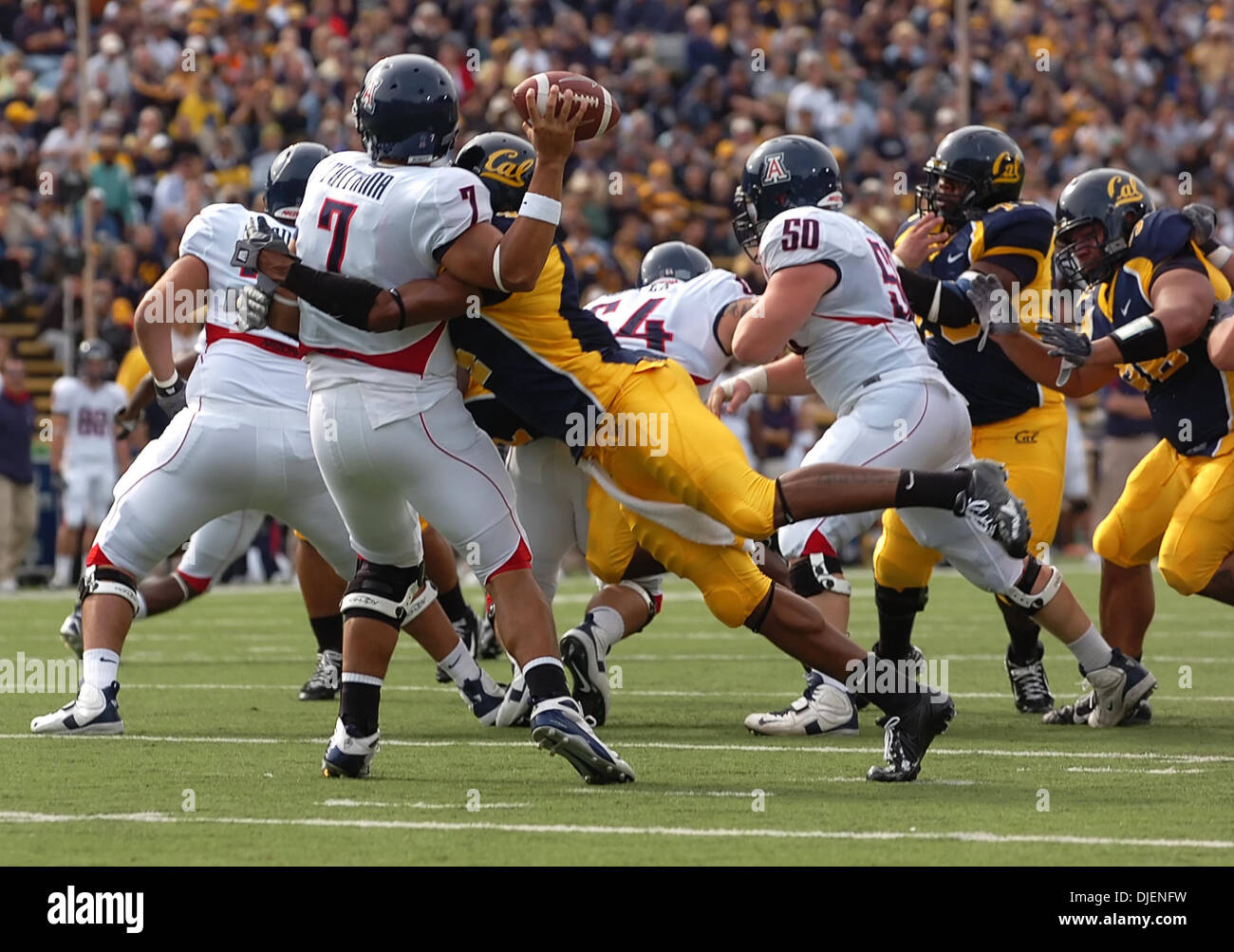 California Golden Bear's Thomas DeCoud, #4, sacks Arizona Wildcat's ...