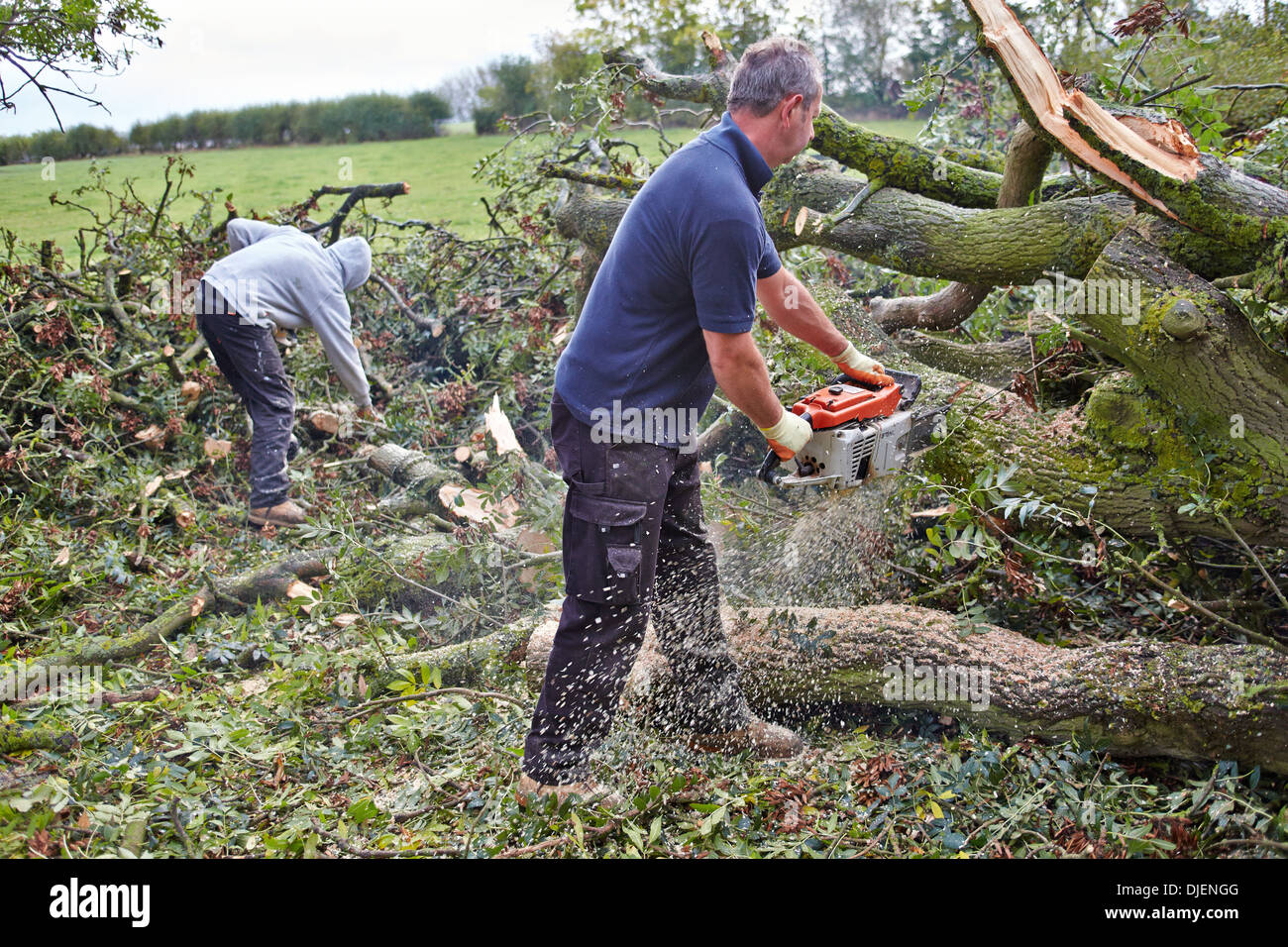 Two men use chainsaws to clear a fallen tree blocking a road Stock ...
