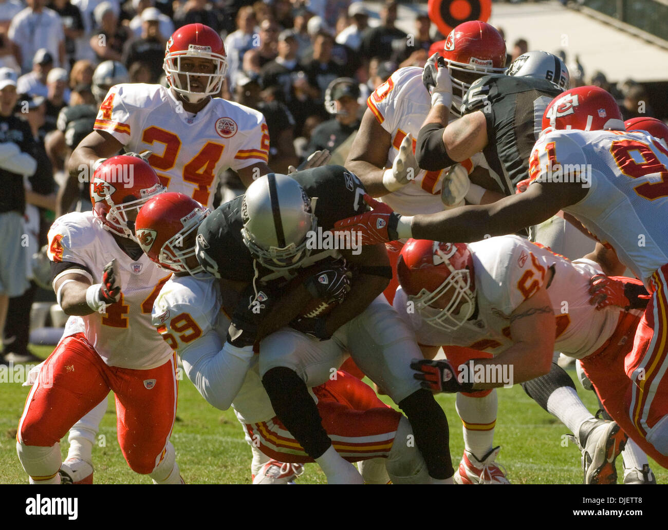 Golub back hi-res stock photography and images - Alamy