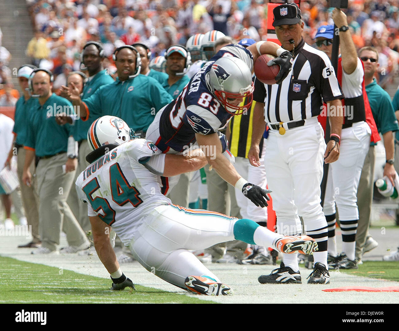 Zach thomas dolphins hi-res stock photography and images - Alamy