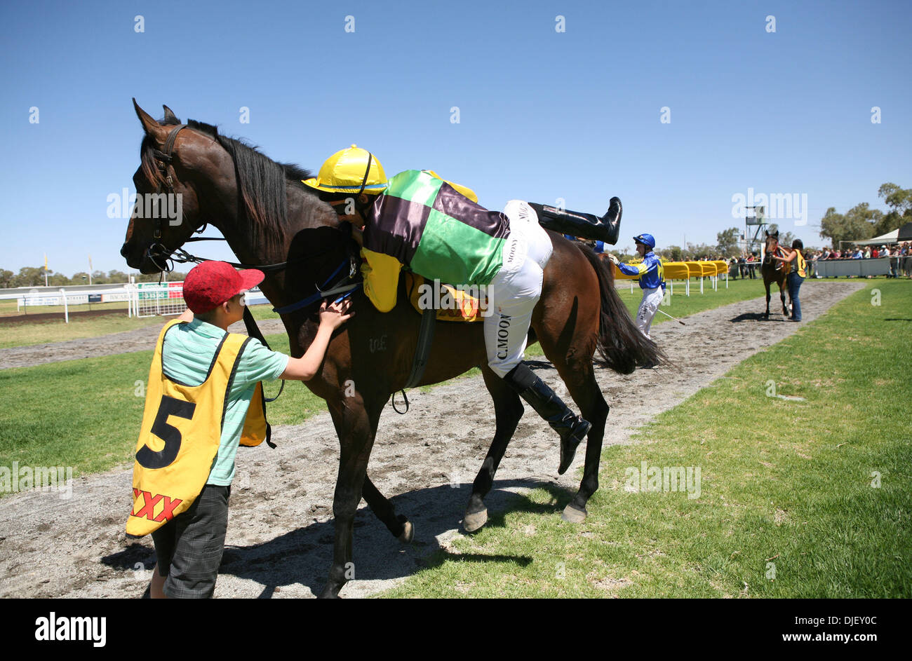 Melbourne cup horse racing horses hi-res stock photography and images ...