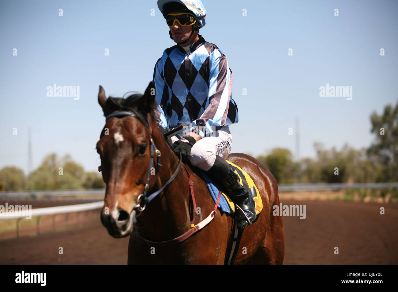Nov 06, 2007 - Alice Springs, Northern Territory, Australia - Horse ...