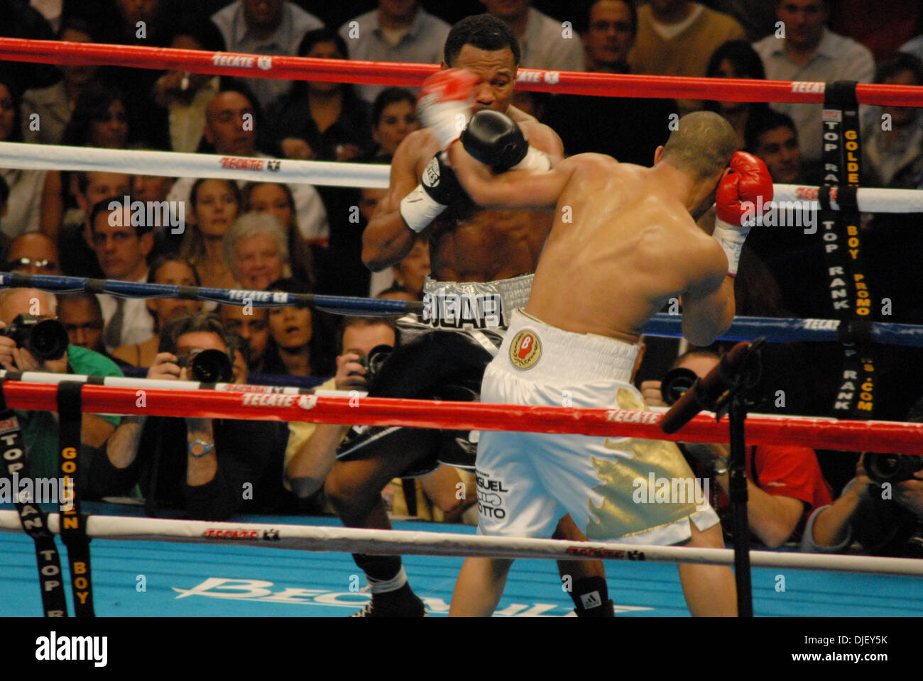 Miguel cotto where hi-res stock photography and images - Alamy