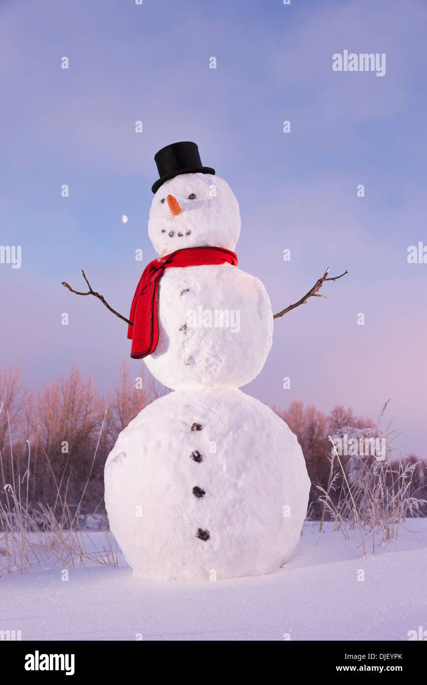 Snowman In Field Wearing A Black Stovepipe Hat And Red Scarf;Anchorage ...