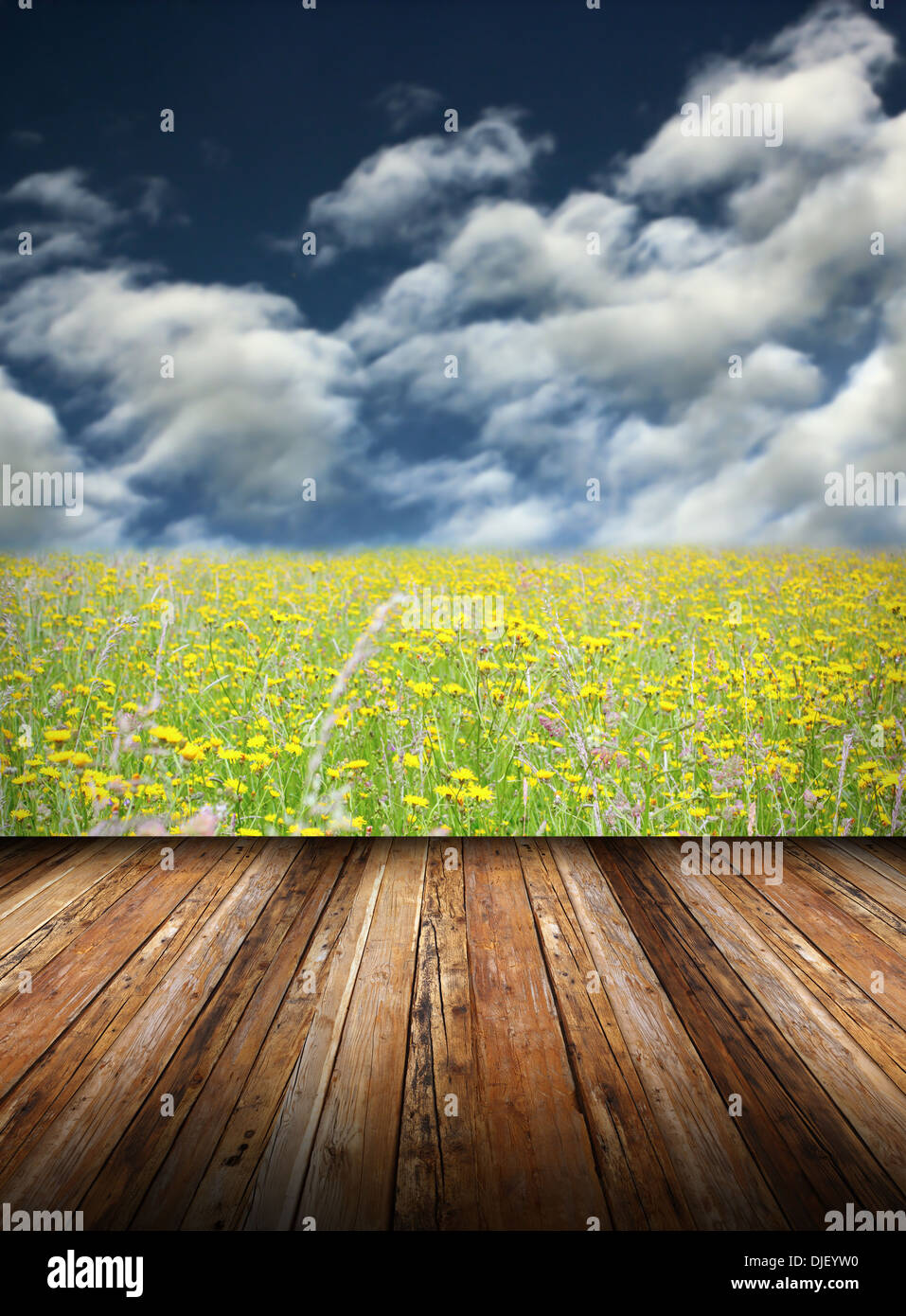 Serene natural view hi-res stock photography and images - Alamy