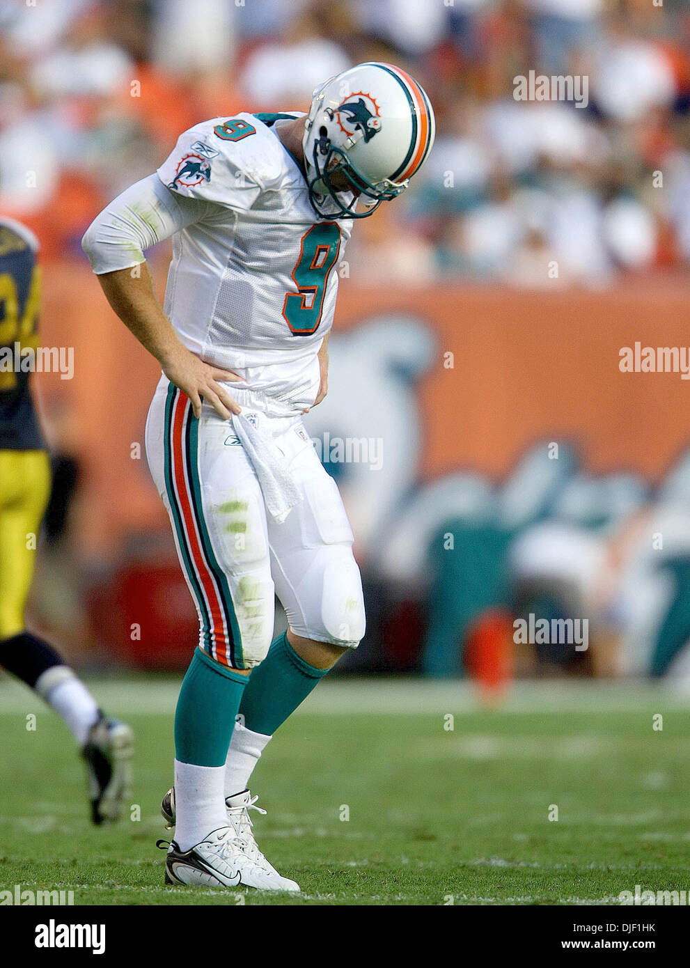 Dolphin football field hi-res stock photography and images - Alamy