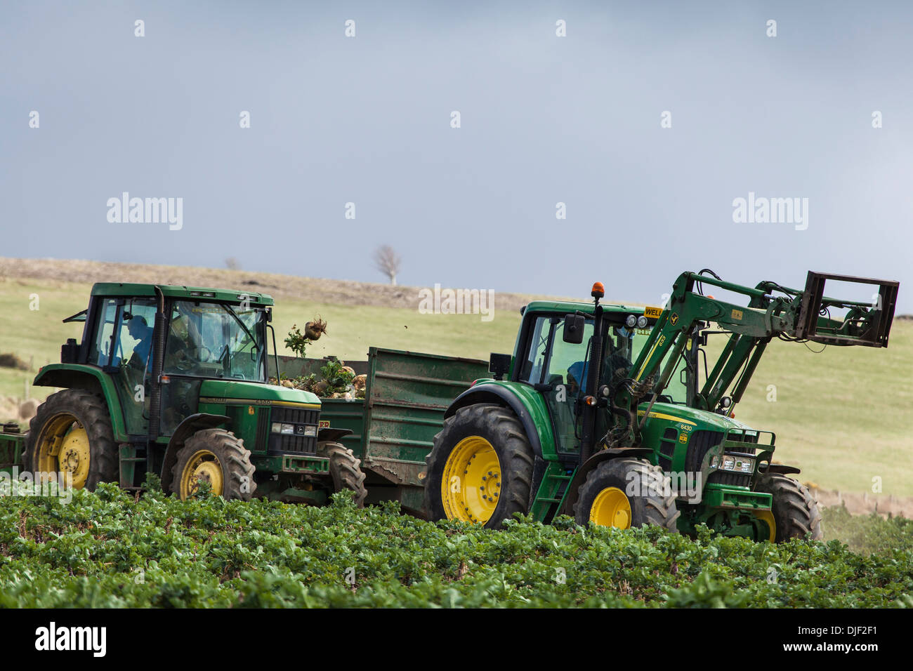 Tractors harvesting hi-res stock photography and images - Alamy