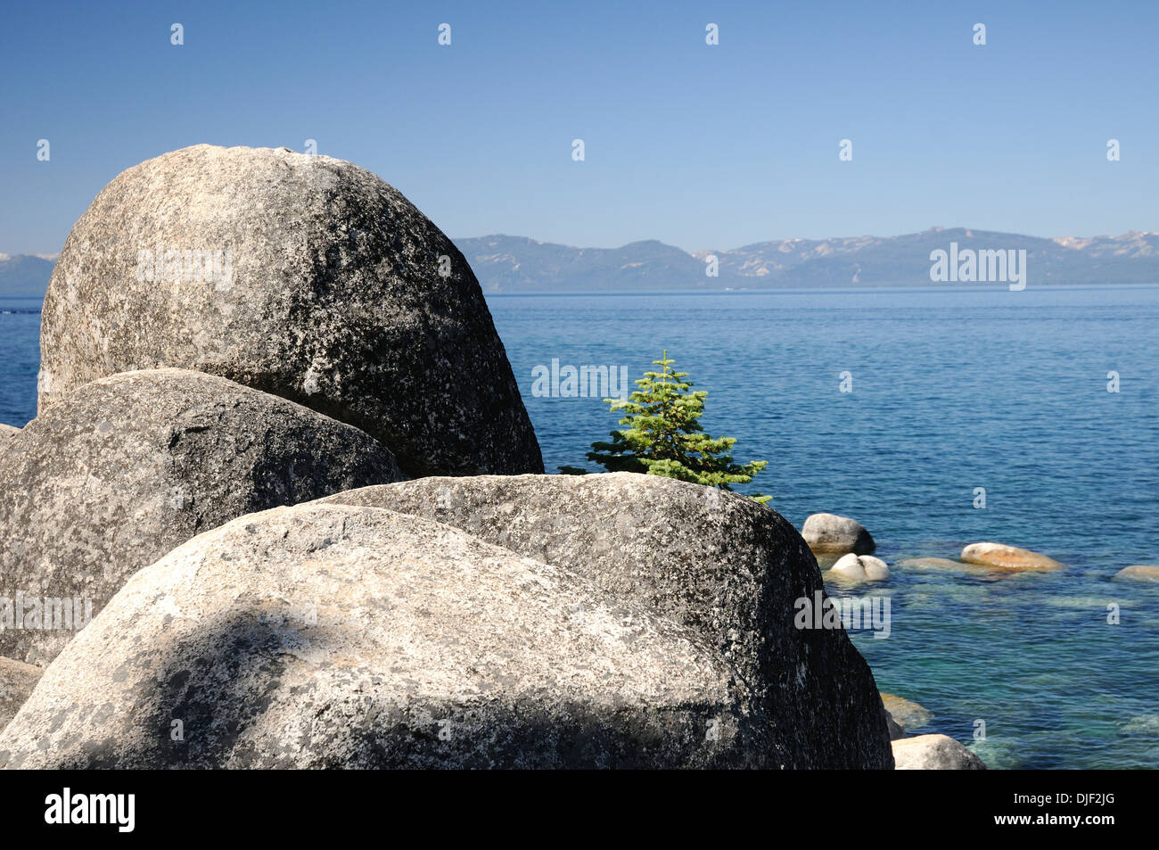 Boulders and Pine Tree at Sand Harbor State Beach Park at Lake Tahoe ...