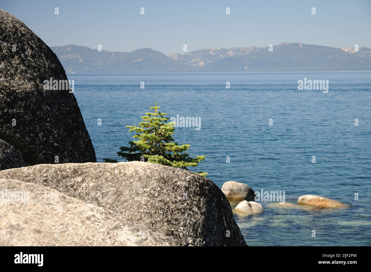 Boulders and Pine Tree at Sand Harbor State Beach Park at Lake Tahoe ...