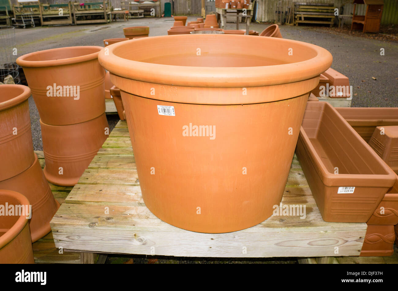 Group garden flower pots uk hi-res stock photography and images - Alamy