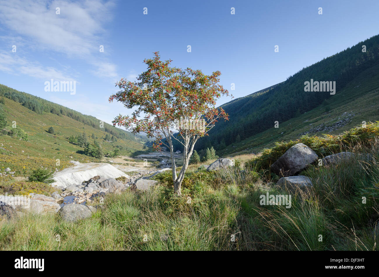 Winter hiking in wicklow hi-res stock photography and images - Alamy
