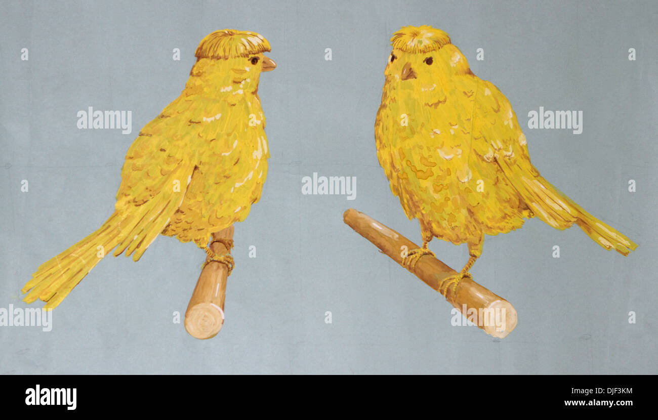 Illustration of canaries Stock Photo - Alamy