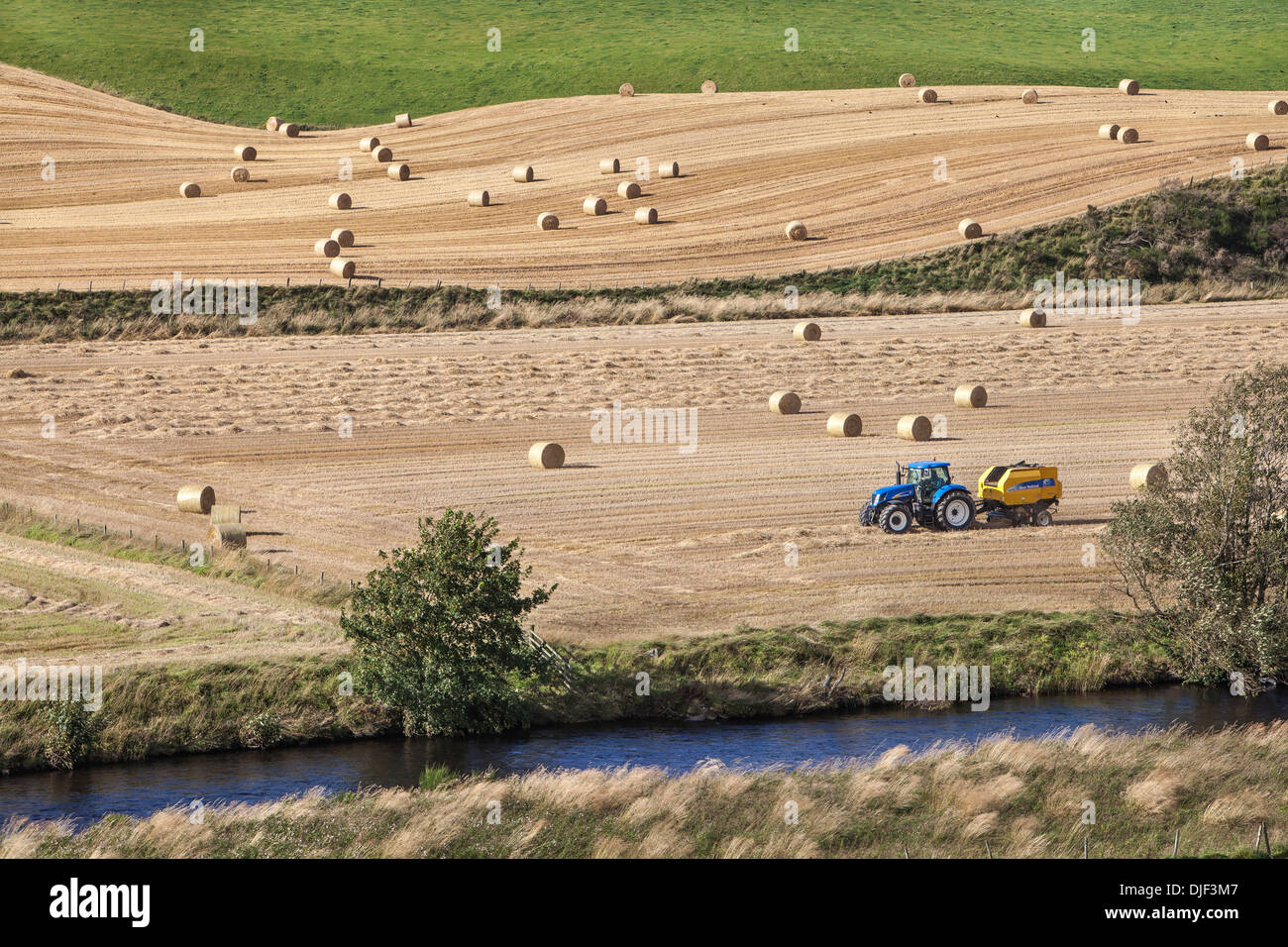 Tractor harvesting hay in Aberdeenshire, Scotland Stock Photo - Alamy