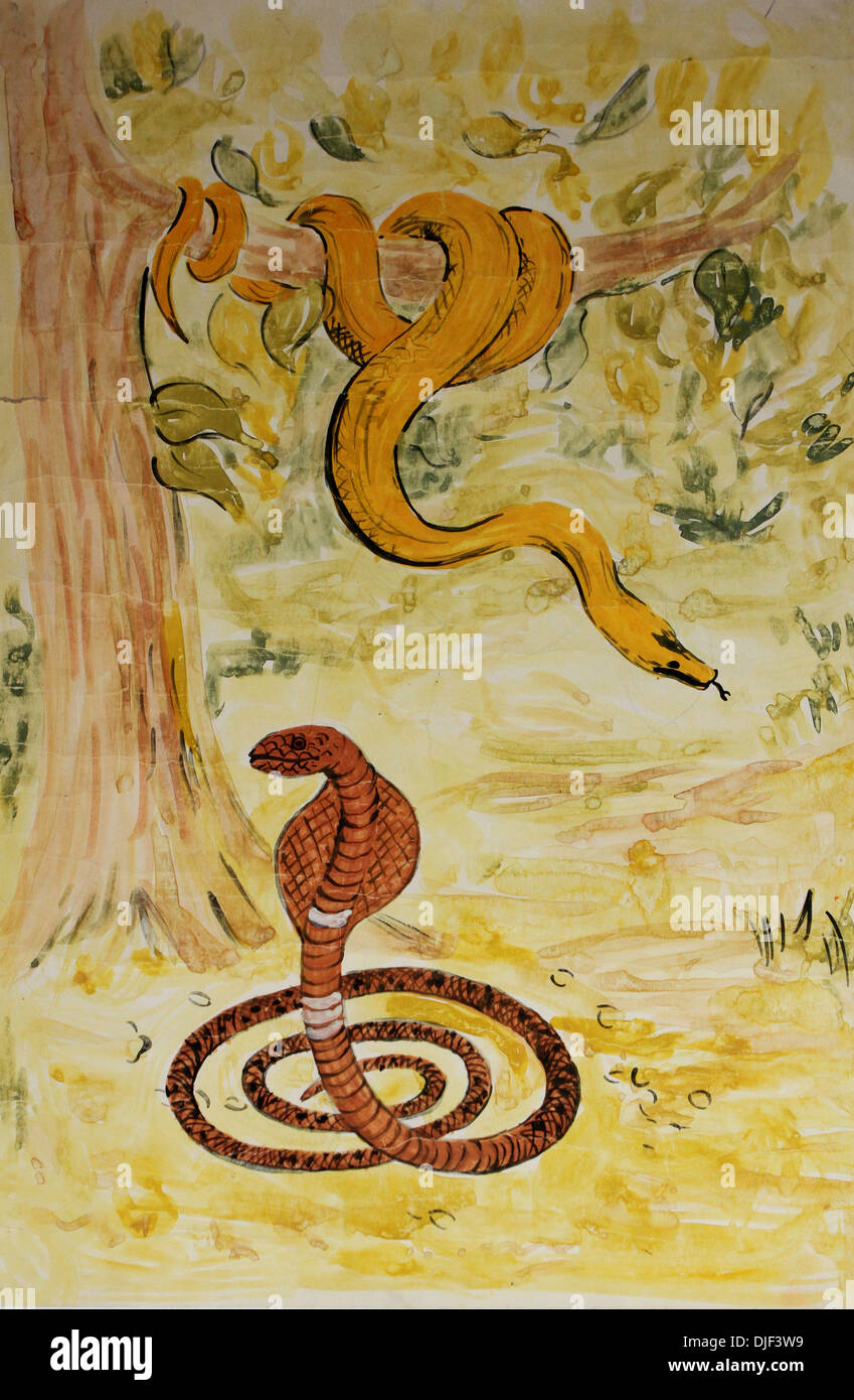 Illustration Of Two Snakes Stock Photo Alamy