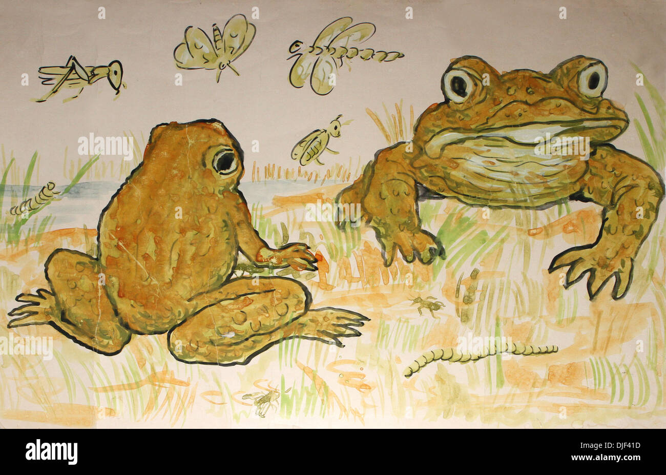 Illustration of two frogs Stock Photo - Alamy