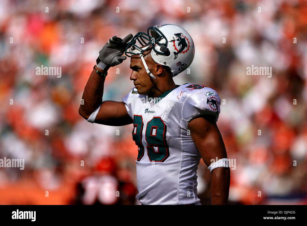 Dolphins player jason taylor hi-res stock photography and images - Alamy