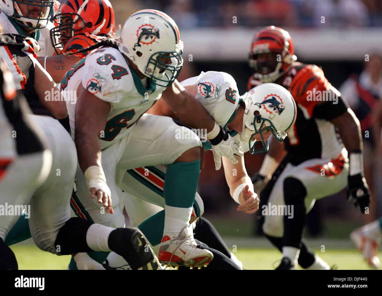 Dec 30, 2007 - Miami Gardens, Florida, USA - Dolphins QB JOHN BECK ...