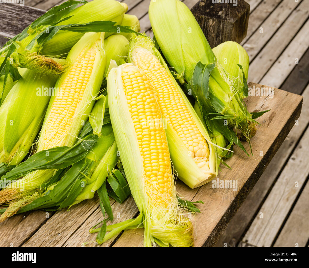 Ears of yellow corn hi-res stock photography and images - Alamy